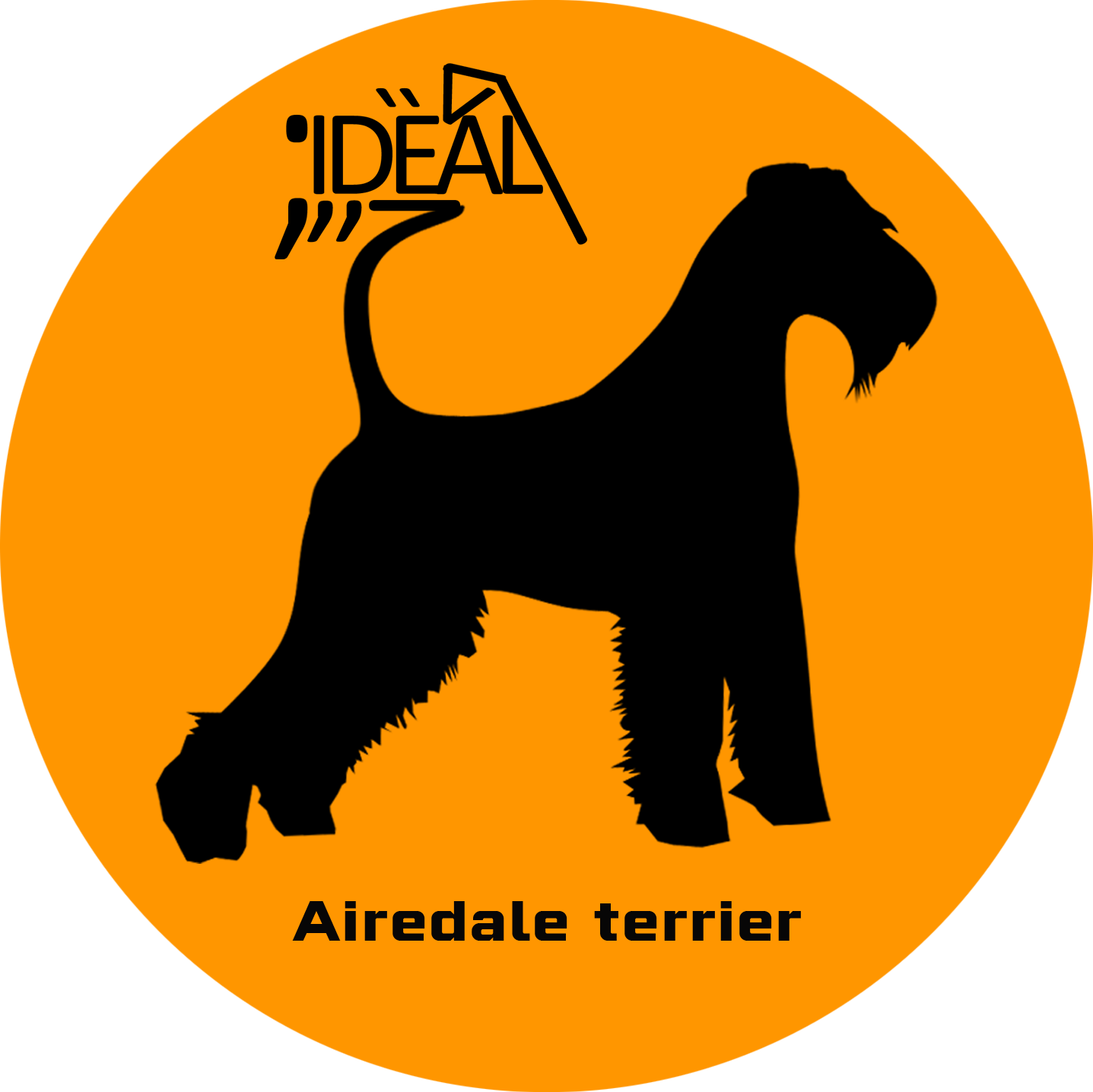 Ideal Dale - Airedale & Lagotto Breeding Excellence